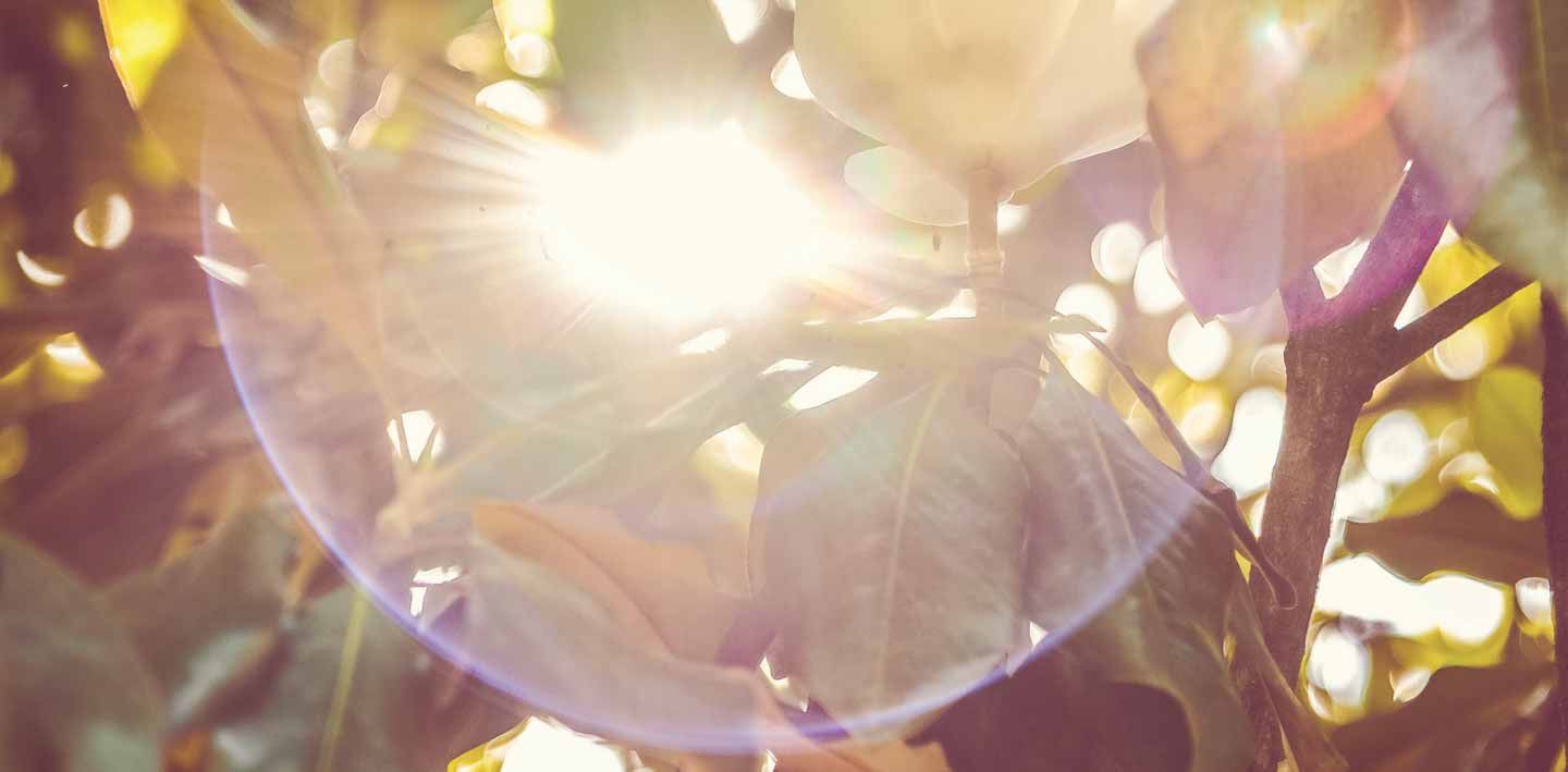 Radiate Christ - Archdiocese of Cincinnati